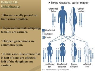 Genetics | PPT