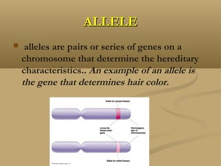 Genetics | PPT
