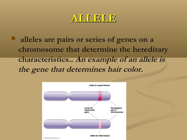Genetics | PPT