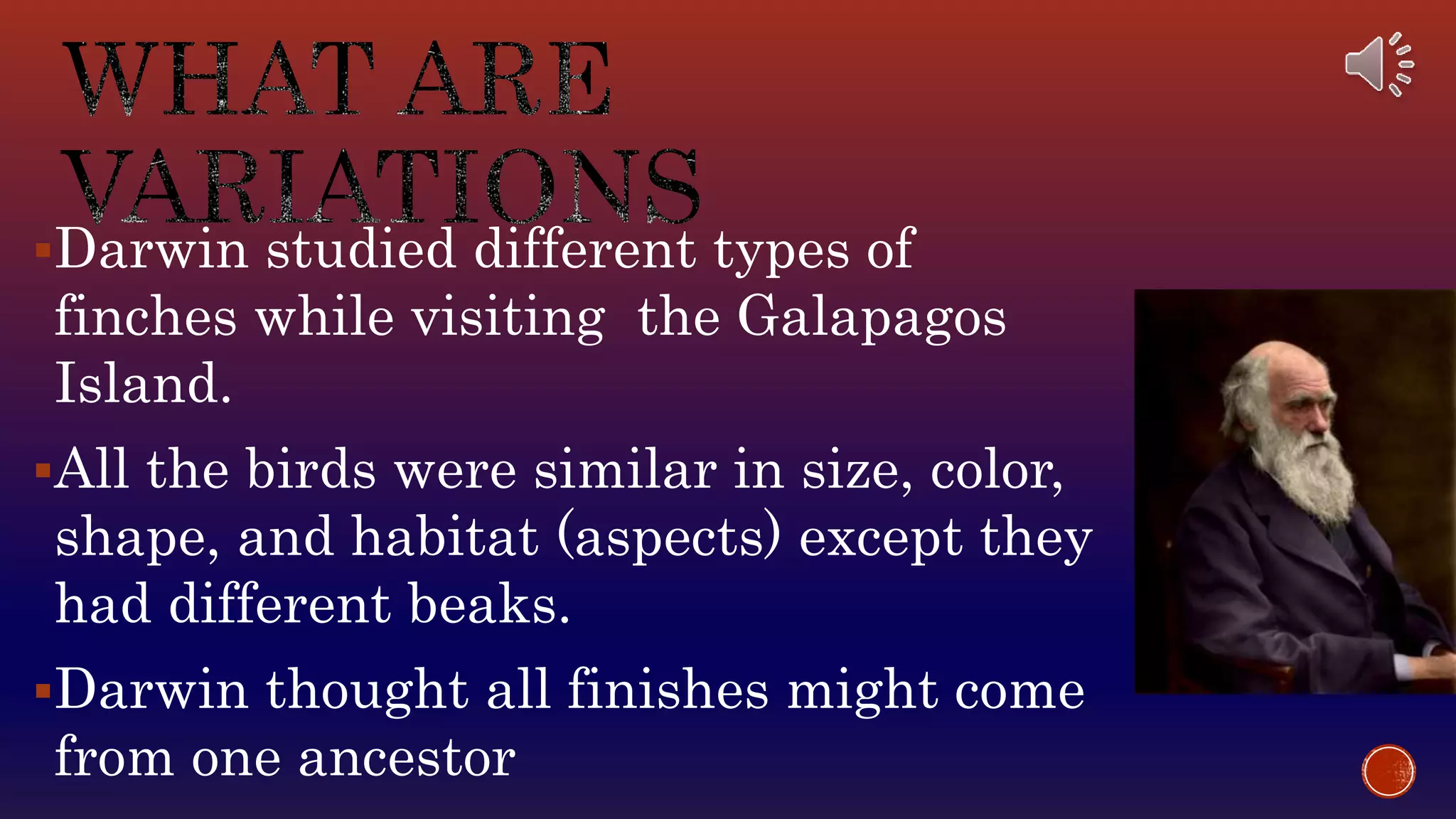 Variations over time / Charles Darwin Theory / Grade 6 Science | PPTX