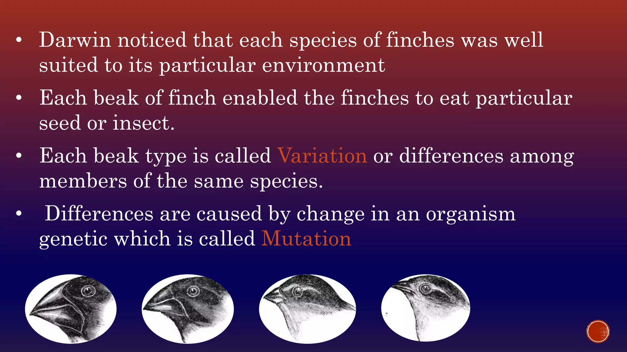 Variations over time / Charles Darwin Theory / Grade 6 Science | PPTX