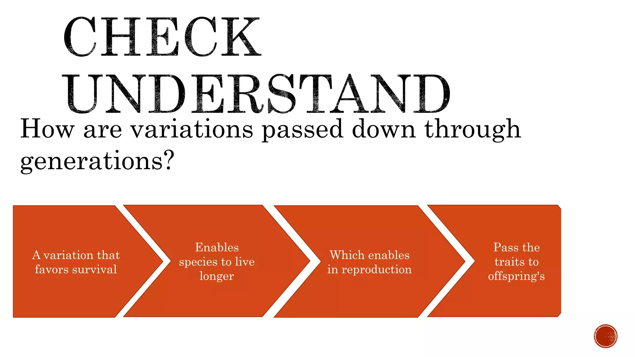 Variations over time / Charles Darwin Theory / Grade 6 Science | PPTX