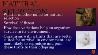 Variations over time / Charles Darwin Theory / Grade 6 Science | PPTX