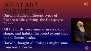 Variations over time / Charles Darwin Theory / Grade 6 Science | PPTX