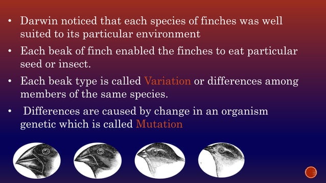 Variations over time / Charles Darwin Theory / Grade 6 Science | PPT
