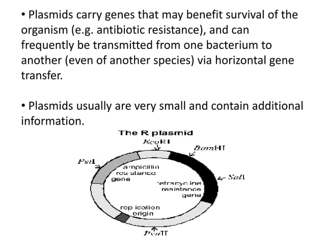 BACTERIAL RECOMBINATION, PLASMIDS AND EPISOMES | PPTX