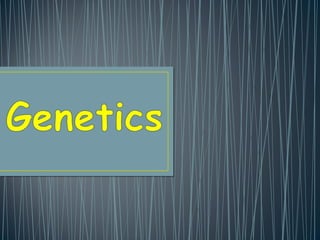 Genetics | PPT