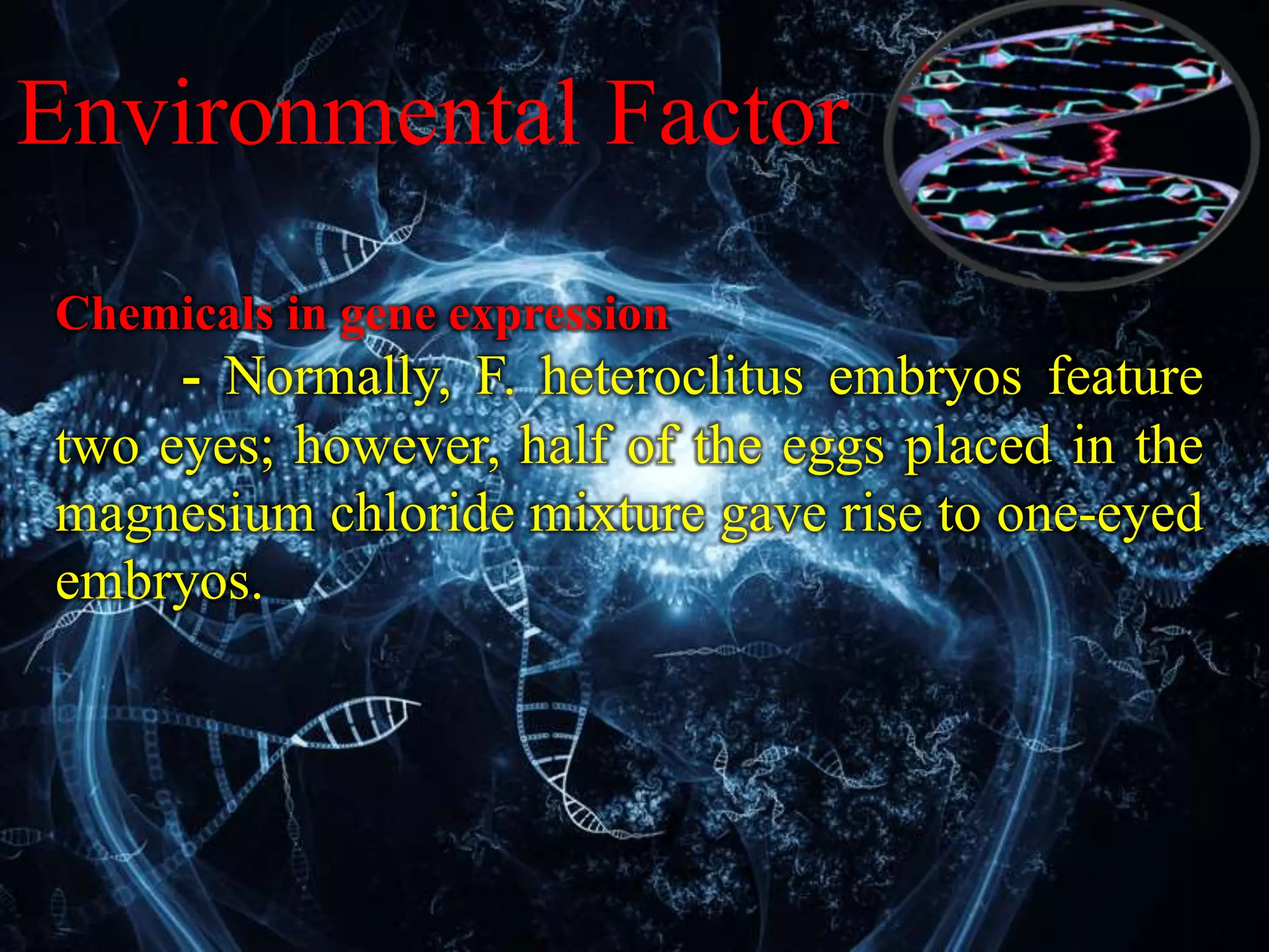 environmental influence on gene expression | PPTX