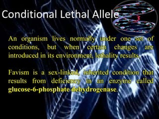 environmental influence on gene expression | PPTX