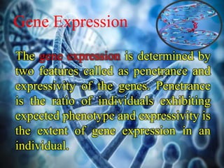 environmental influence on gene expression | PPTX