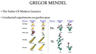 Genetics | PPTX