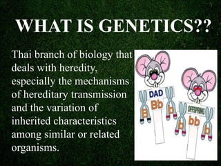 Austin Biology | PPT