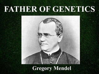 Austin Biology | PPT