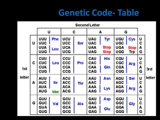 Genetic codons | PPTX