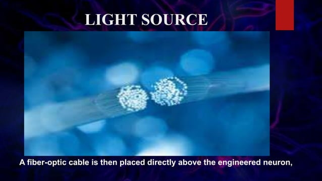 optogenetics | PPTX | Eye and Vision Conditions | Diseases and Conditions