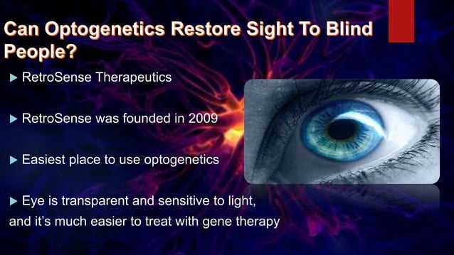 optogenetics | PPTX | Eye and Vision Conditions | Diseases and Conditions