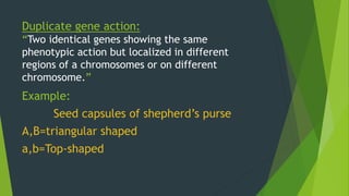 Genetics | PPTX