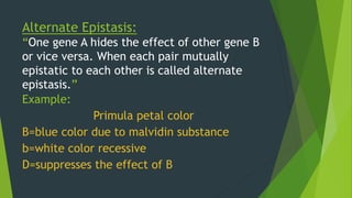 Genetics | PPTX
