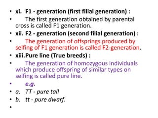 F1 Generation Definition