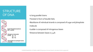 GENETICS-2-31(2).pdf geneticsh.......... | PDF