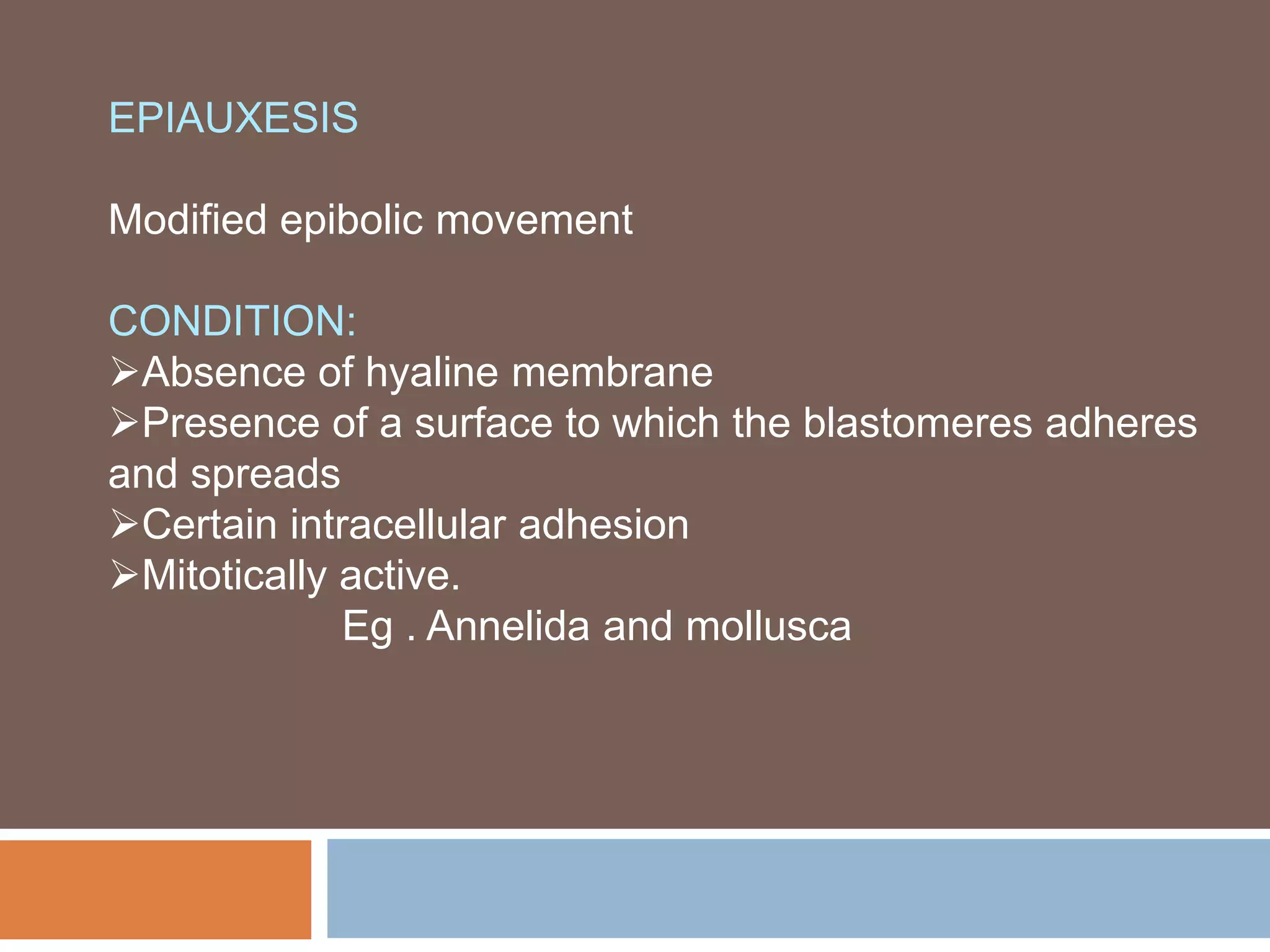 morphogenetic movements-developmental biology | PPTX