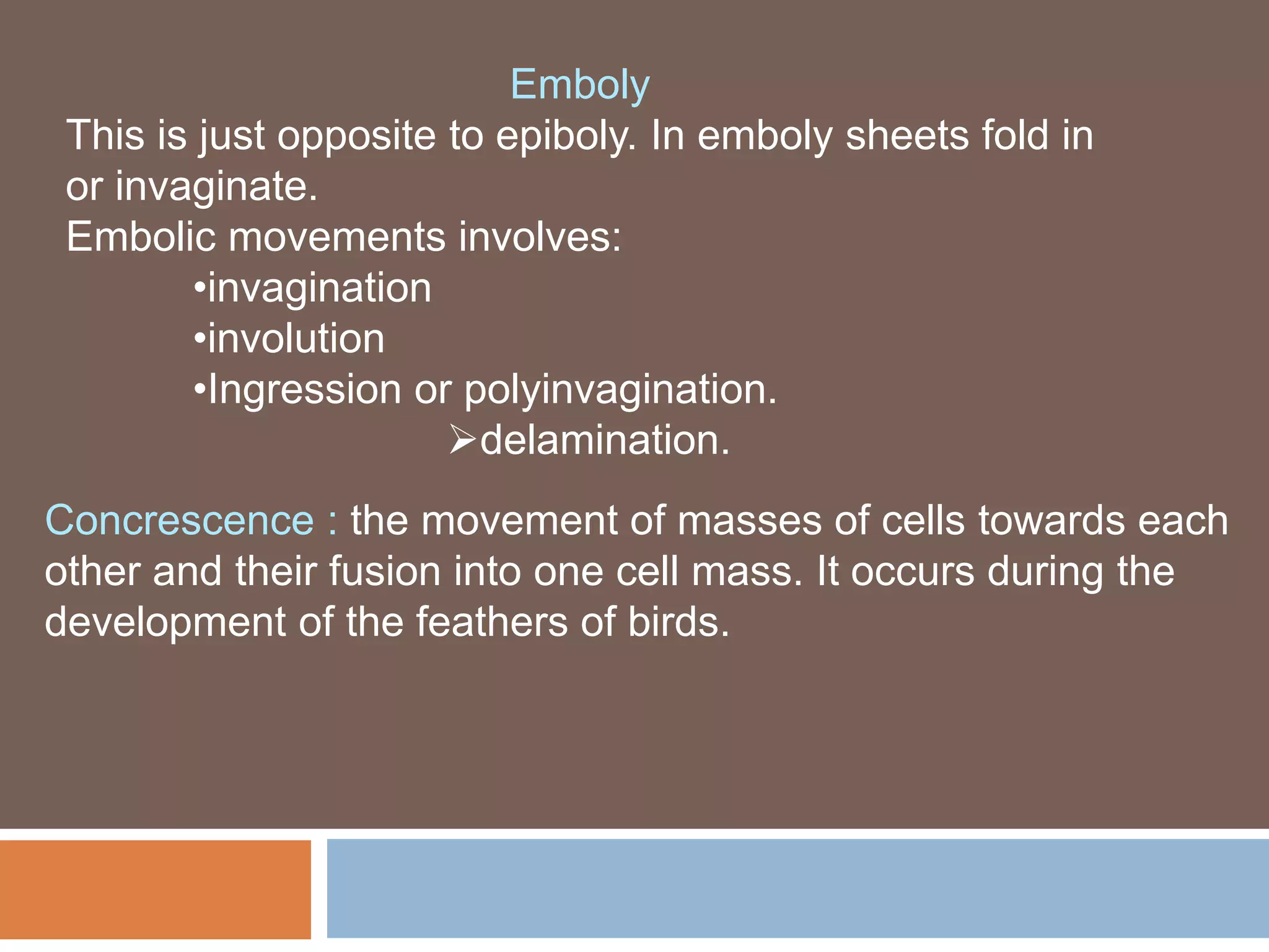 morphogenetic movements-developmental biology | PPTX