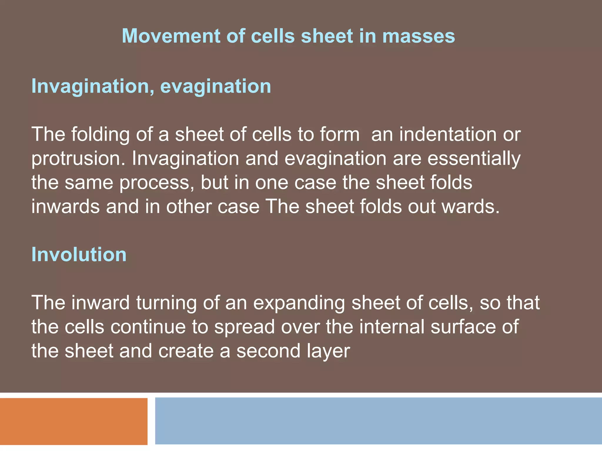 morphogenetic movements-developmental biology | PPTX
