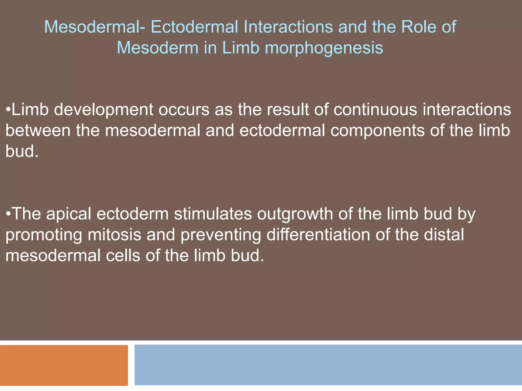 morphogenetic movements-developmental biology | PPTX