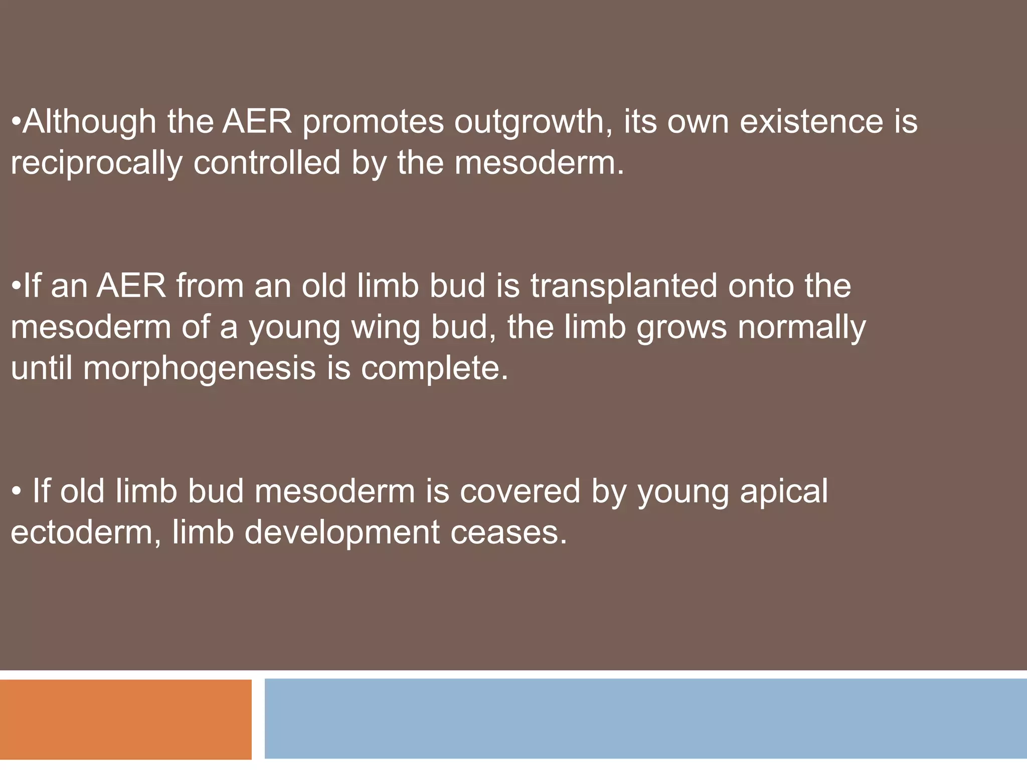 morphogenetic movements-developmental biology | PPTX