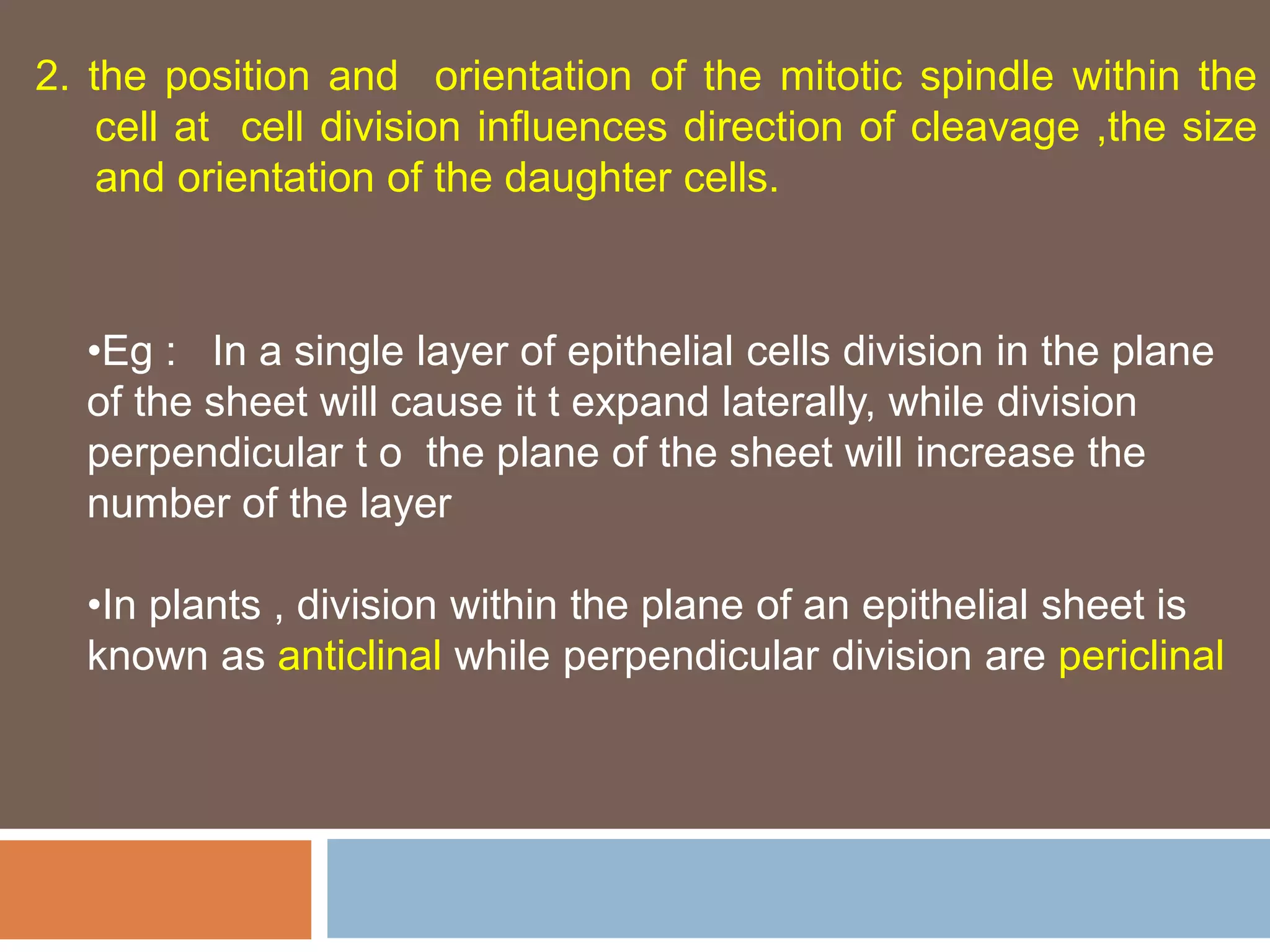 morphogenetic movements-developmental biology | PPTX