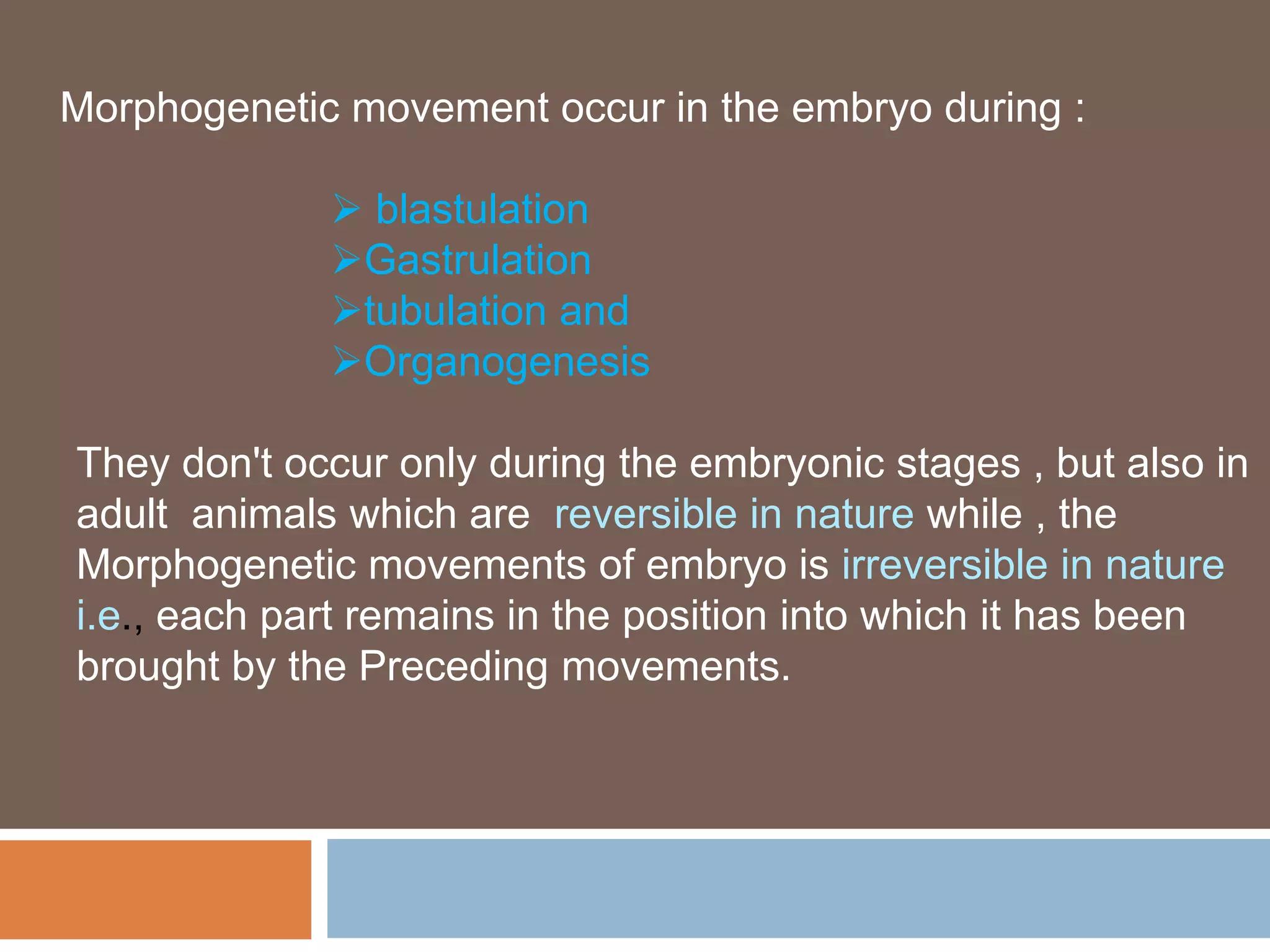 morphogenetic movements-developmental biology | PPTX