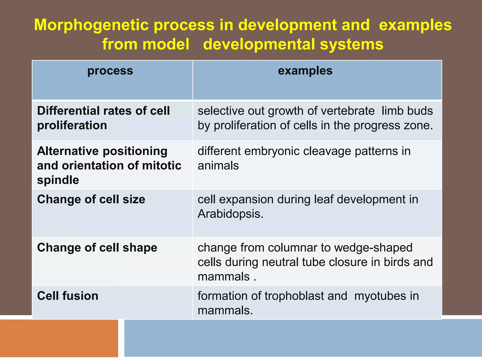 morphogenetic movements-developmental biology | PPTX