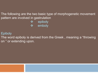 morphogenetic movements-developmental biology | PPTX