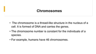 Genetics Tenth | PPTX