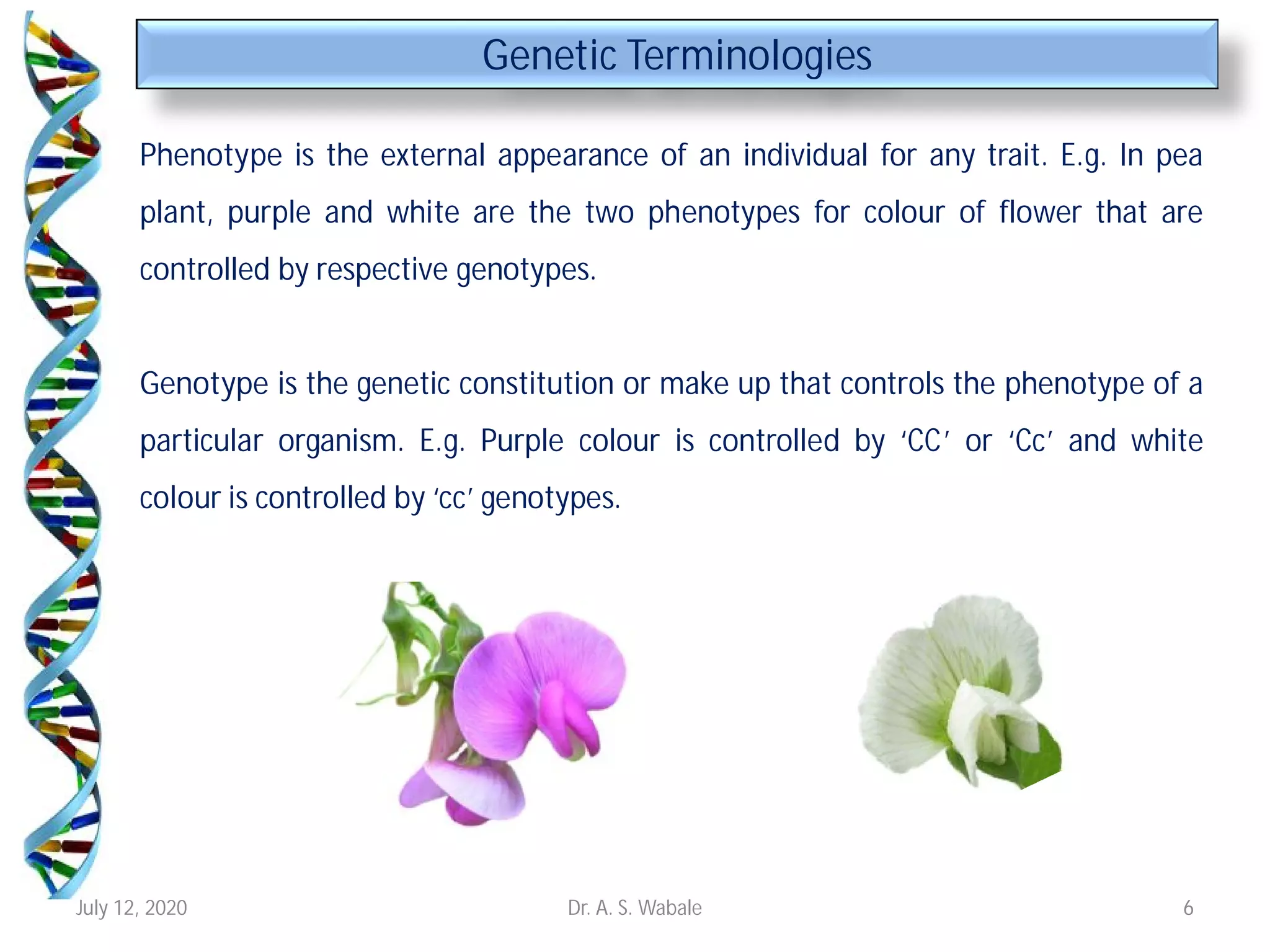 Genetics | PDF