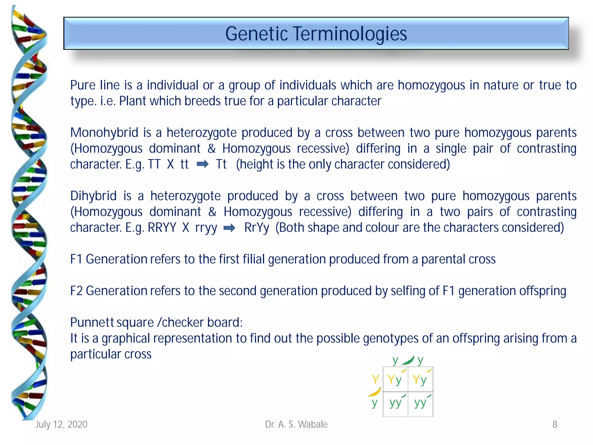 Genetics | PDF | Genetics | Science