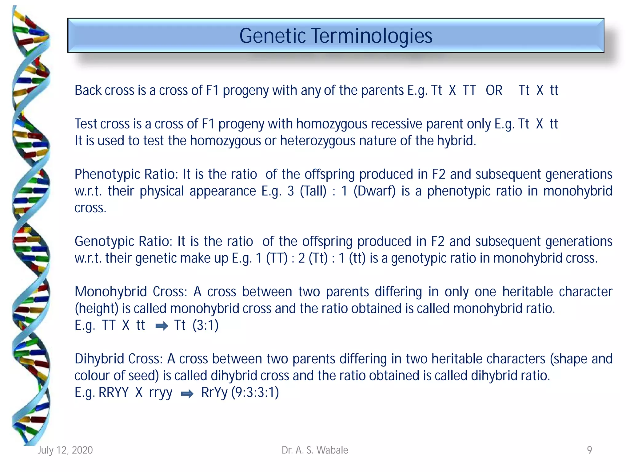 Genetics | PDF