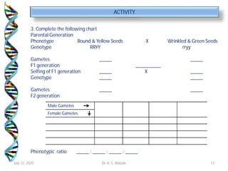 Genetics | PDF