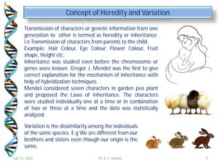 Genetics | PDF | Genetics | Science