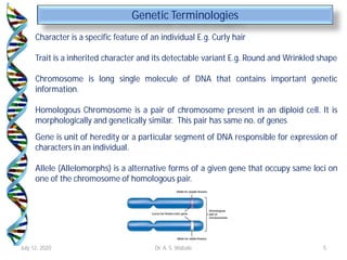 Genetics | PDF | Genetics | Science