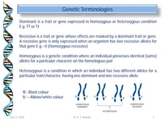 Genetics | PDF | Genetics | Science