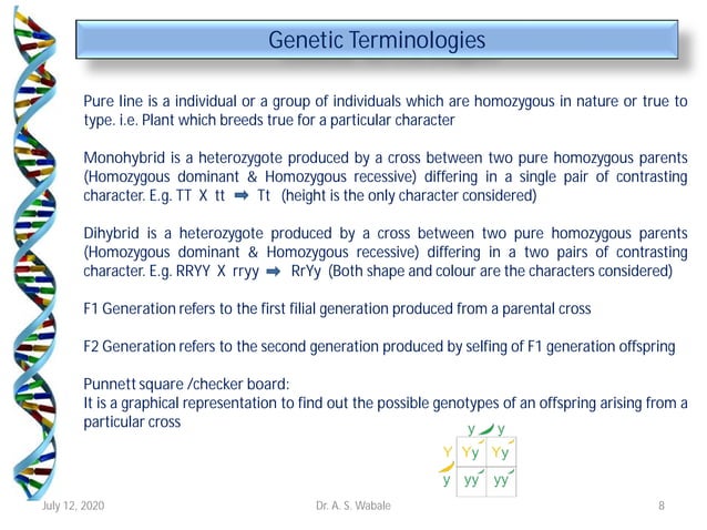 Genetics | PPT