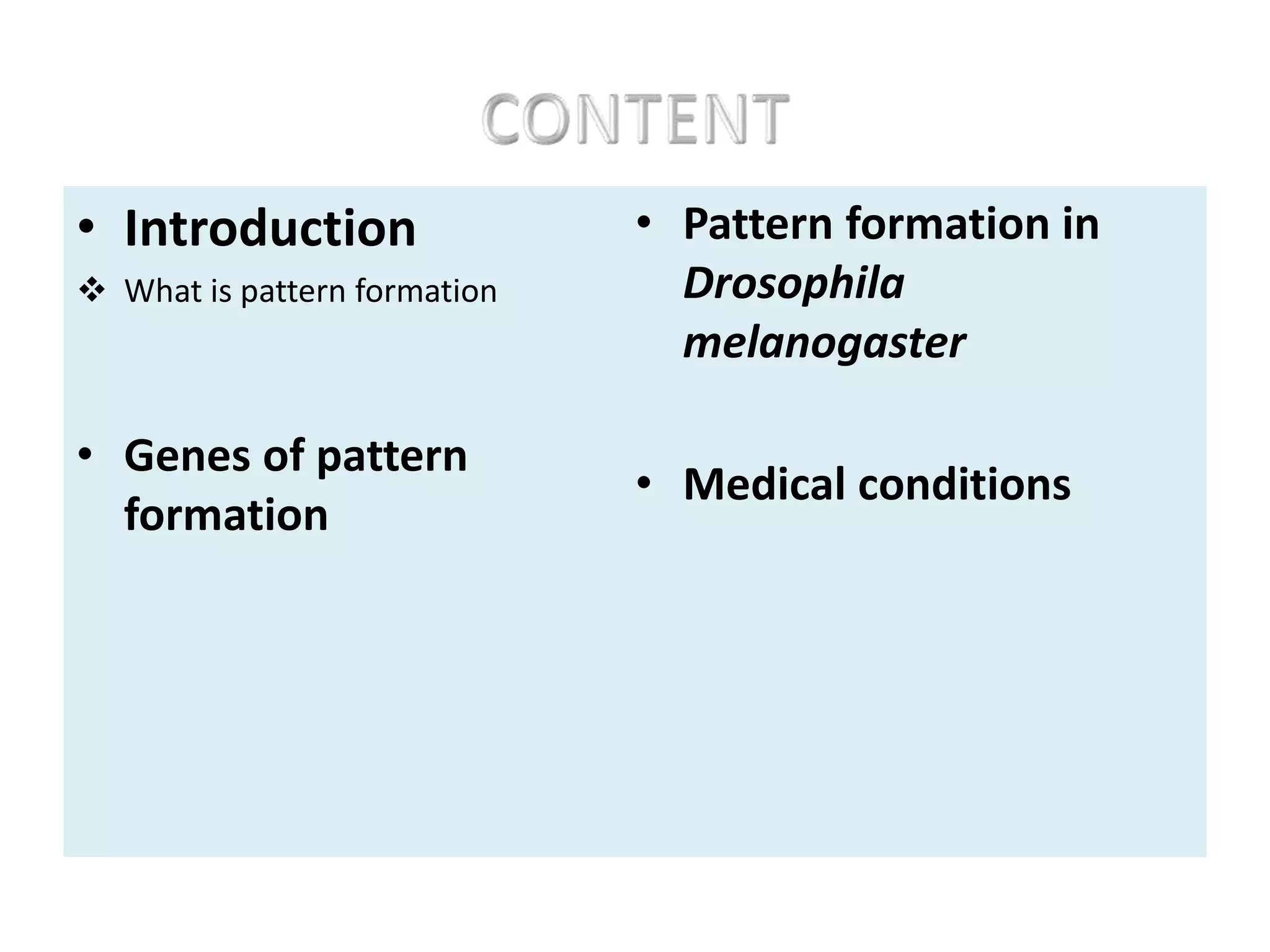 pattern formation genes | PPTX