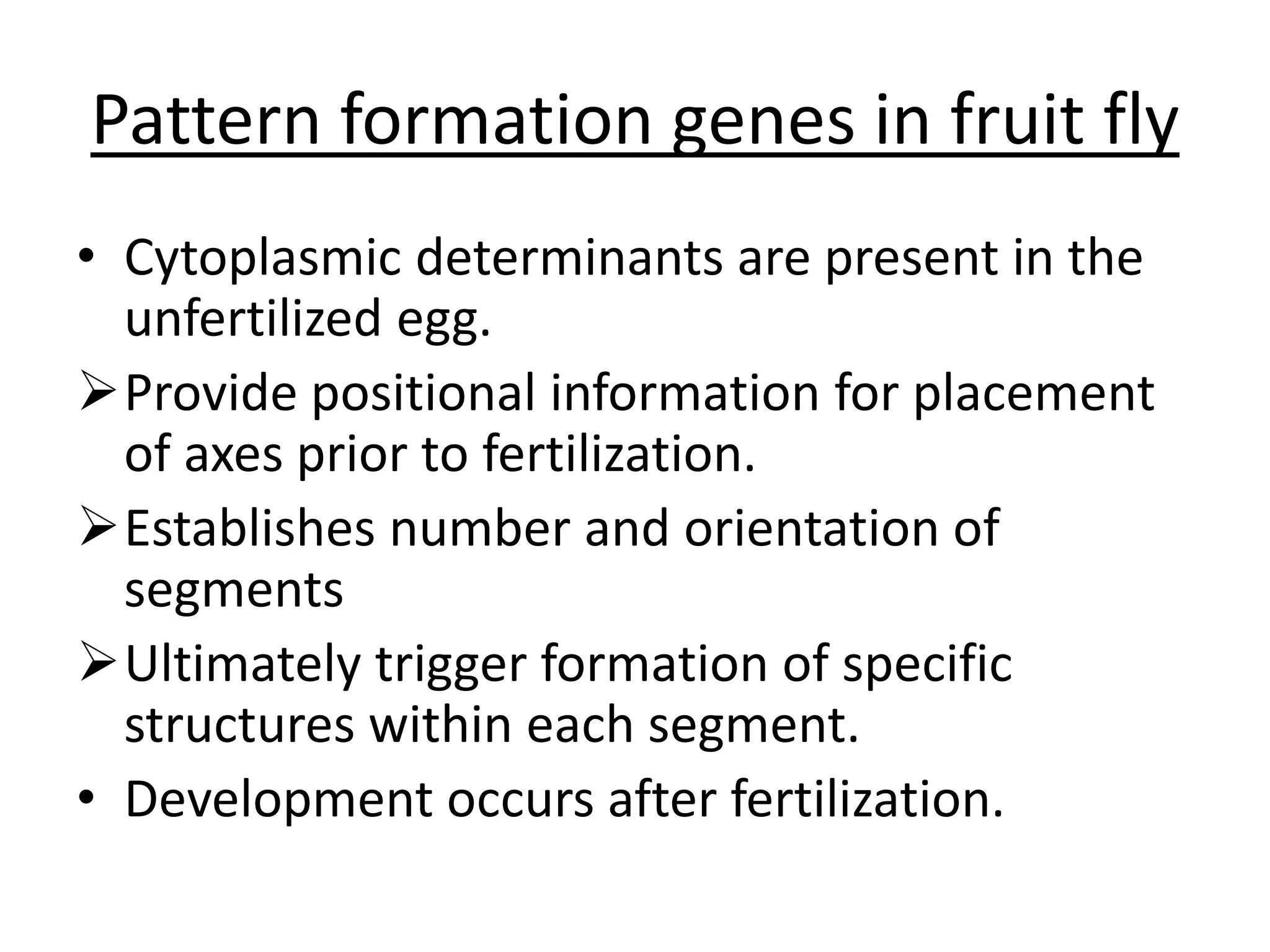 pattern formation genes | PPTX