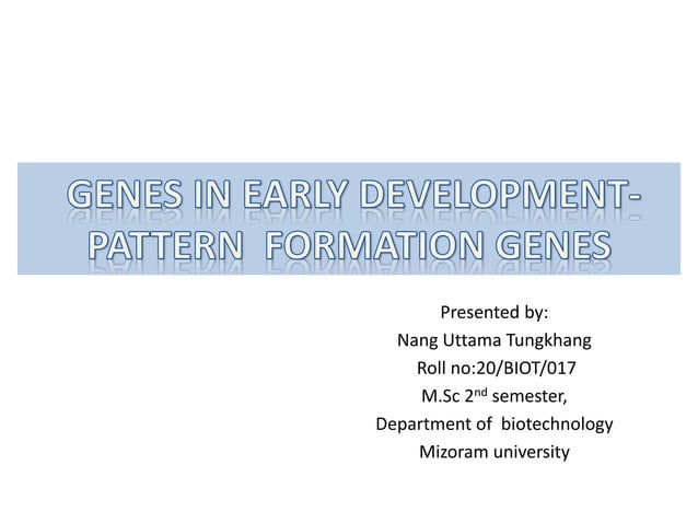 pattern formation genes | PPTX