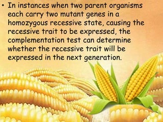 Complementation test; AC-DS System in Maize | PPTX