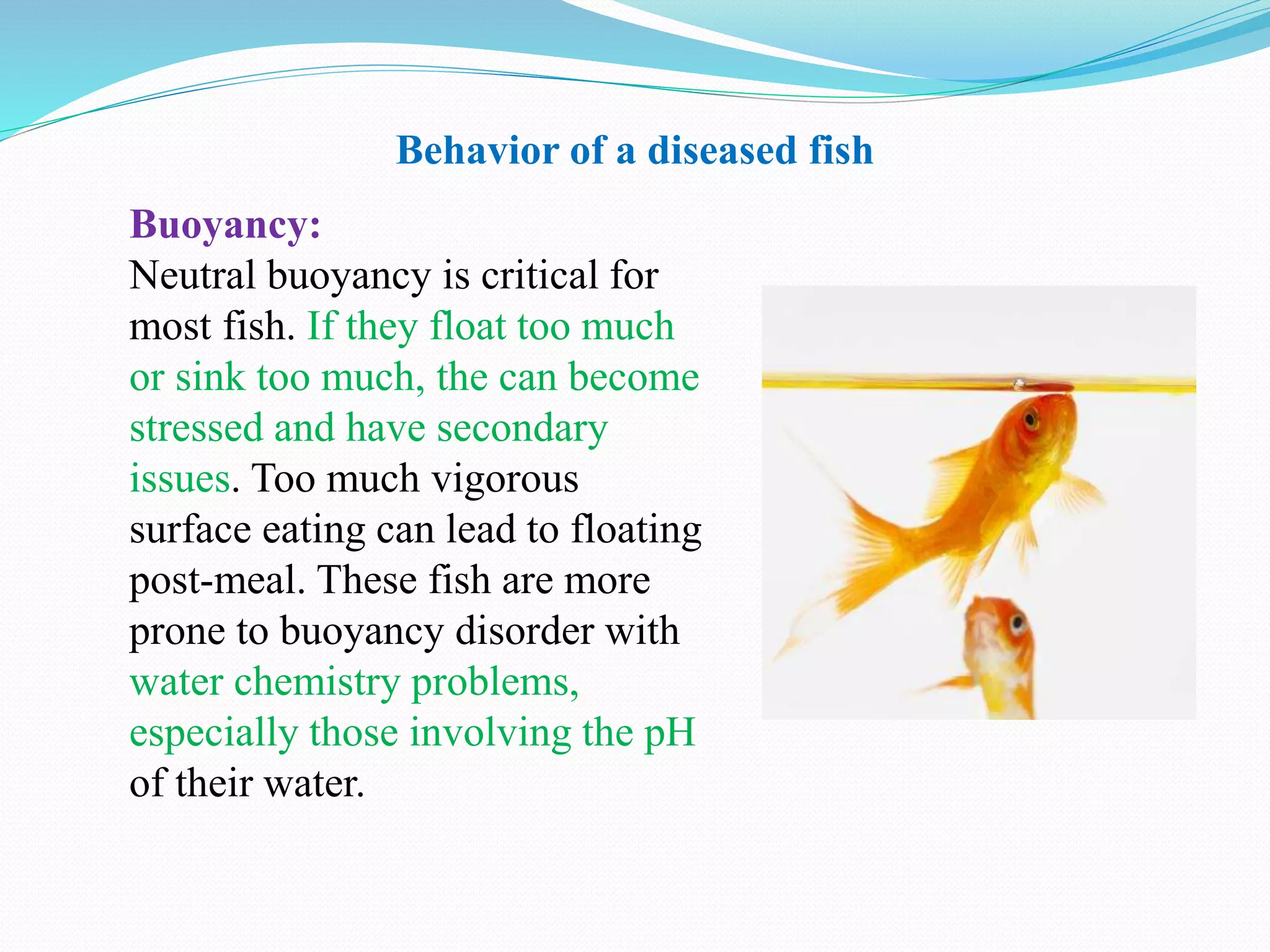 Differentiation between the Behavior of Healthy and Diseased Fish and ...