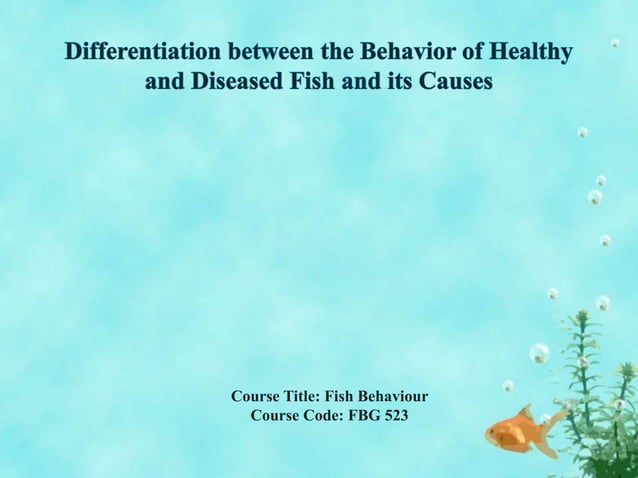 Differentiation between the Behavior of Healthy and Diseased Fish and ...