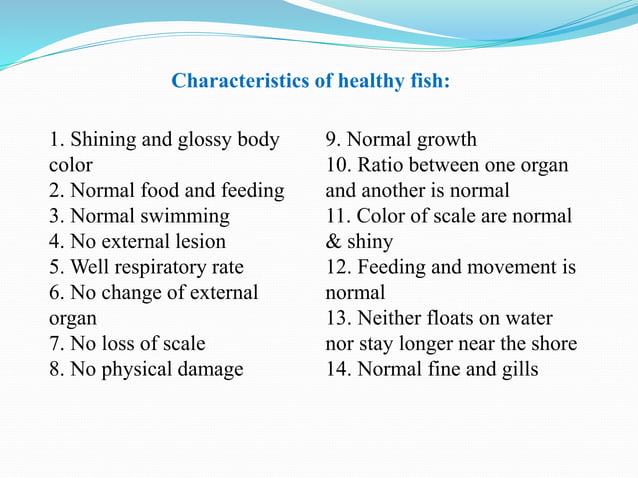 Differentiation between the Behavior of Healthy and Diseased Fish and ...