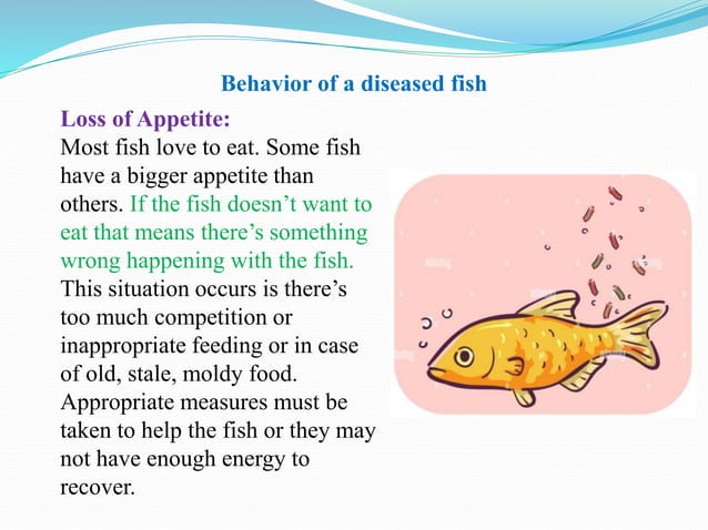 Differentiation between the Behavior of Healthy and Diseased Fish and ...
